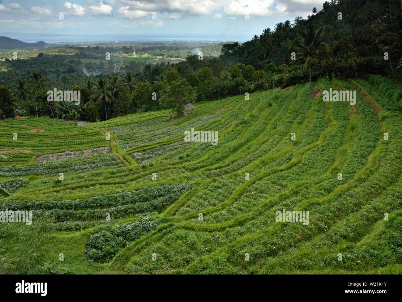 Hill side view terrace hi-res stock photography and images - Alamy