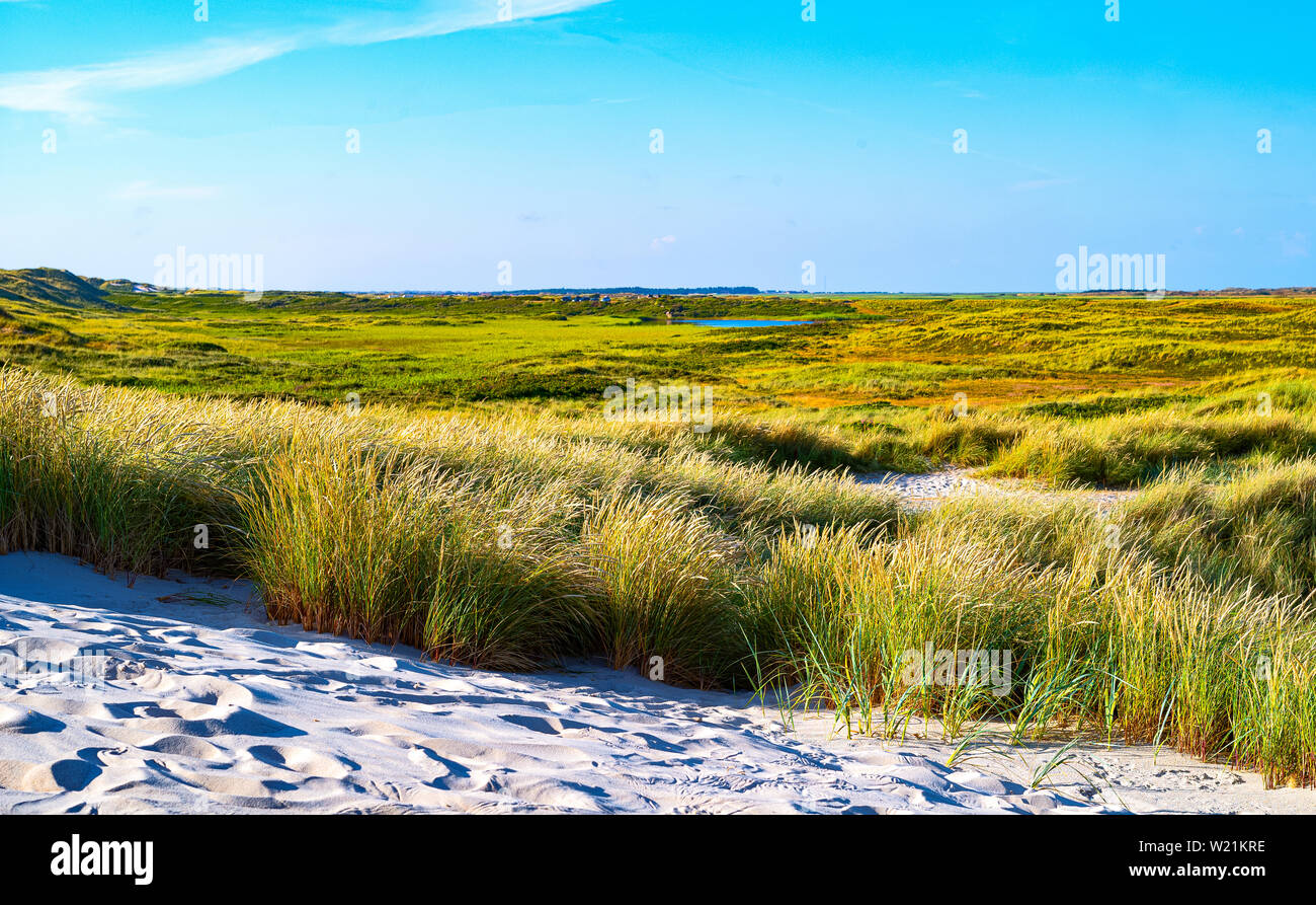 Denmark, Jutland peninsula, Nymingab district, wild landscapes in the ...