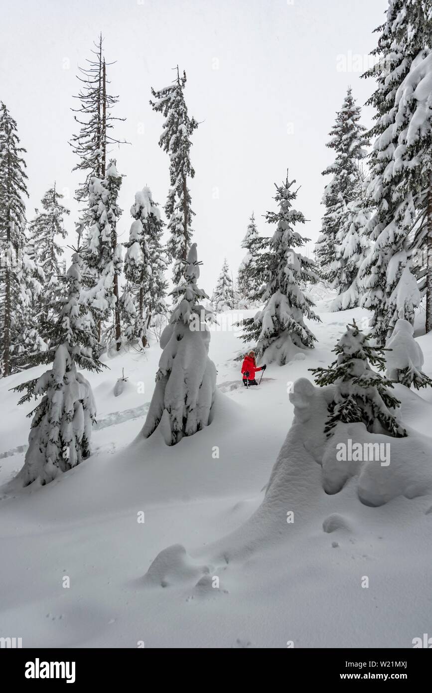 Young woman standing in deep snow, hiking in winter, deep snow in the ...