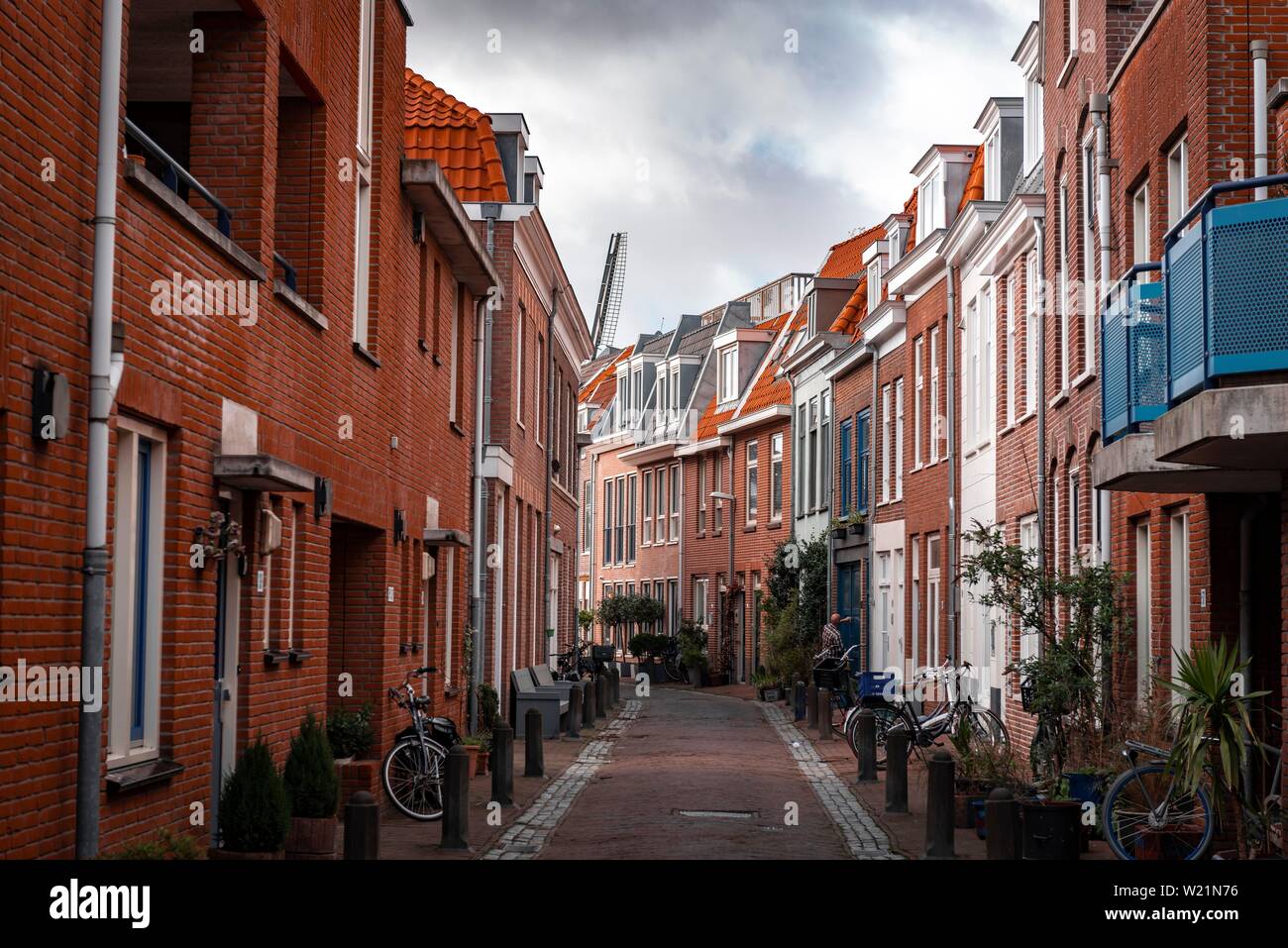 Small street with typical brick houses, Haarlem, Province of North ...
