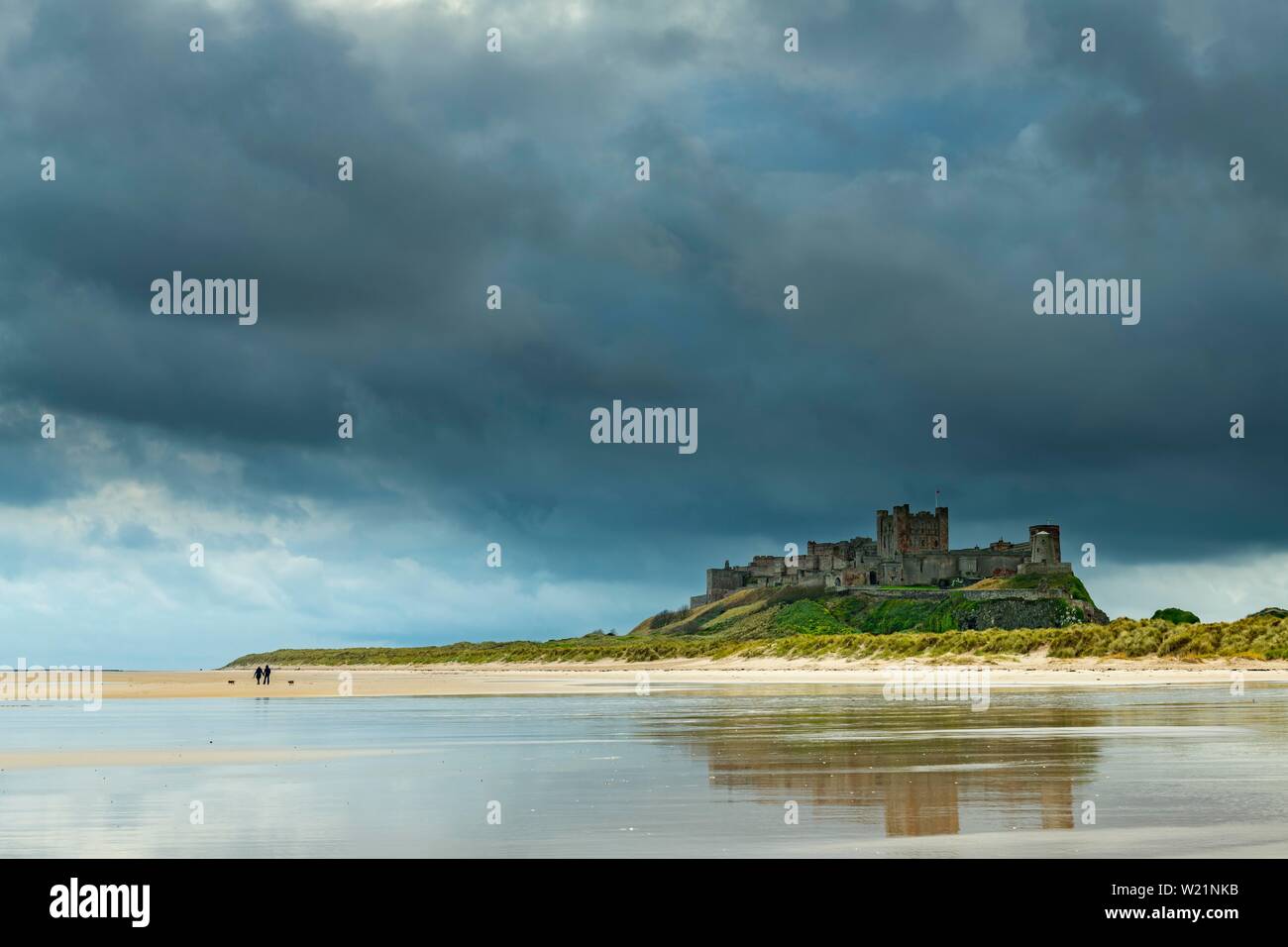 Flat sandy coast with Bamburgh Castle and reflection in the water with ...