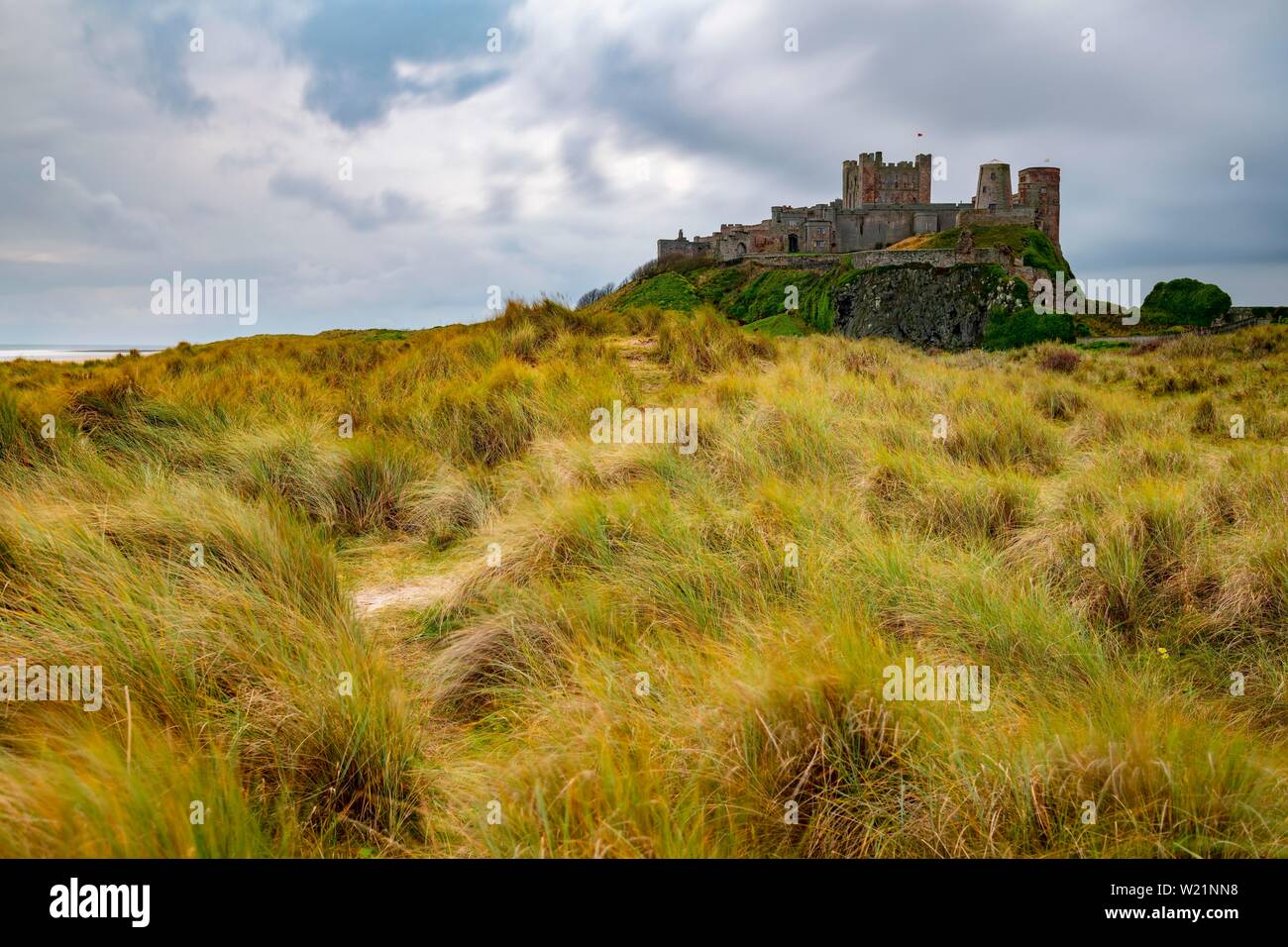 Dunescape with grass in front of bamburgh castle hi-res stock ...