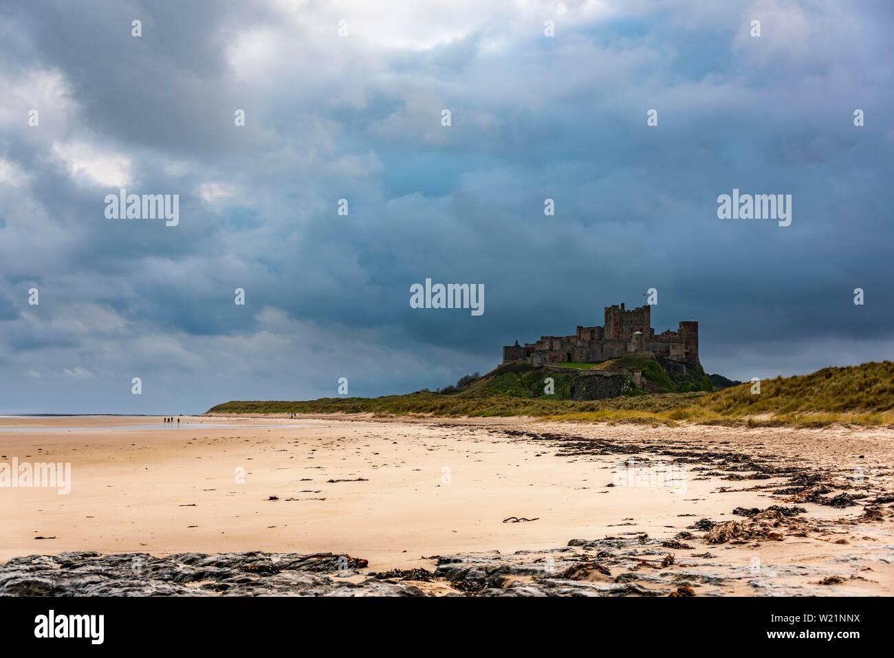 Sandy coast at low tide with Bamburgh Castle in the background, cloudy ...