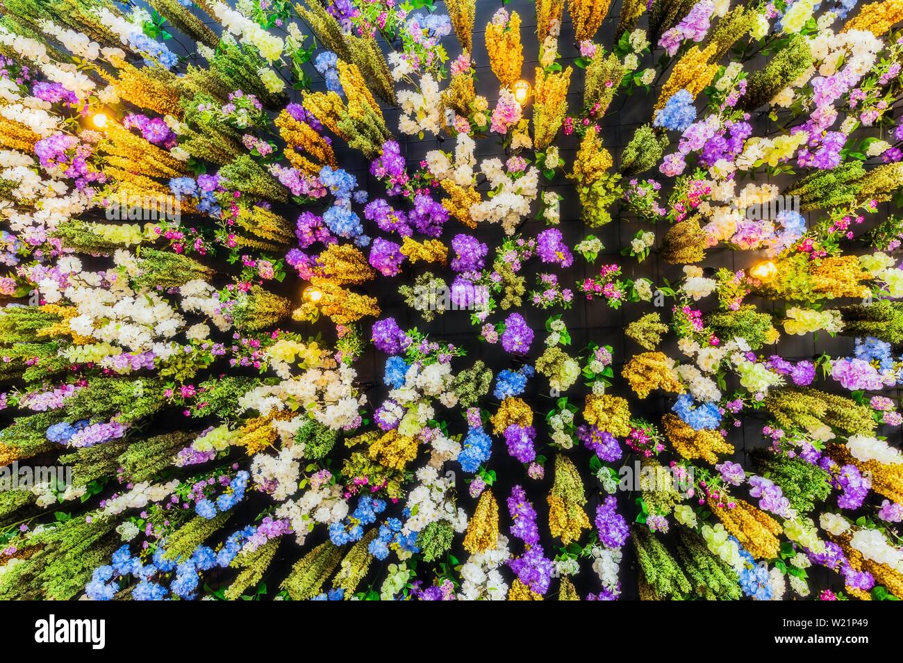 Dried flowers hanging from the ceiling, Portugal Stock Photo - Alamy