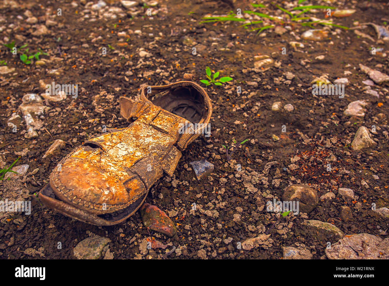 World problem with global warming, old shoe on dryed earth. The desert ...