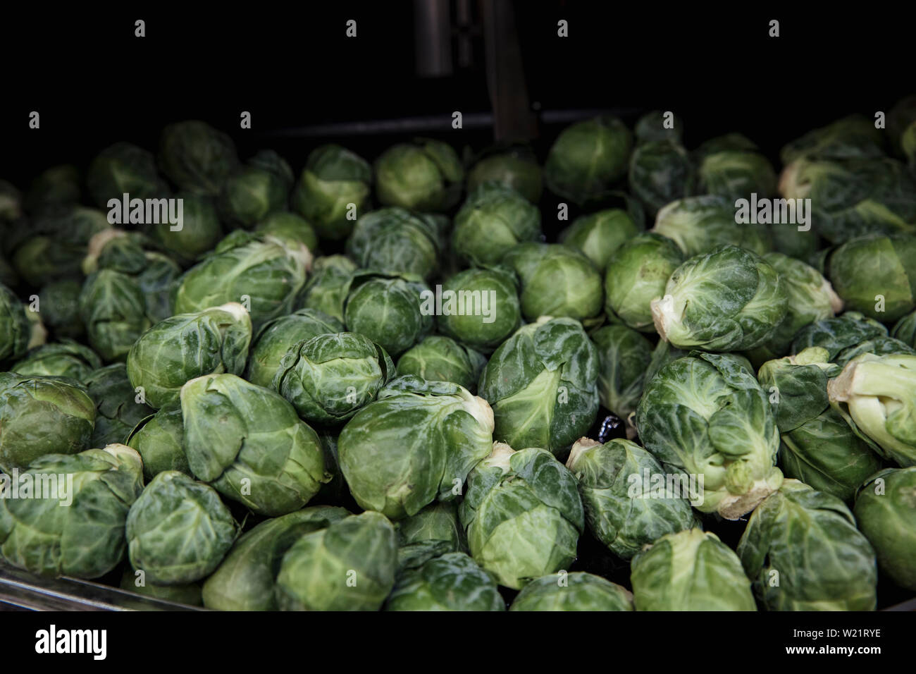 A close-up shot of an abundance of fresh Brussels Sprouts on display at ...