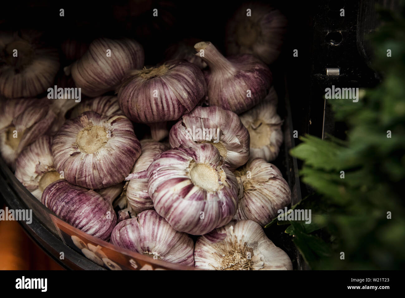 A close-up shot of an abundance of fresh garlic bulbs on display at a ...