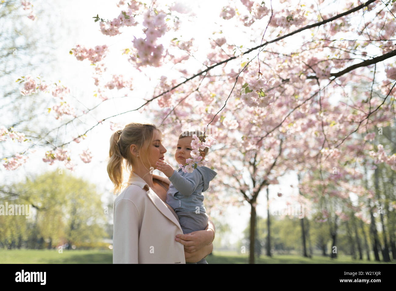 Young mother mom holding her little baby son boy child under blossoming ...