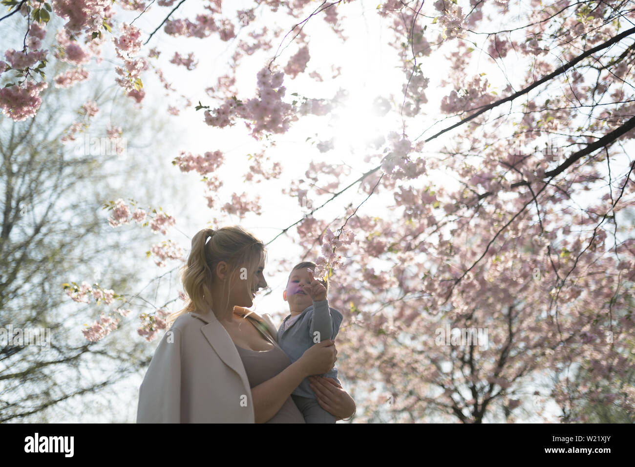 Young mother mom holding her little baby son boy child under blossoming ...