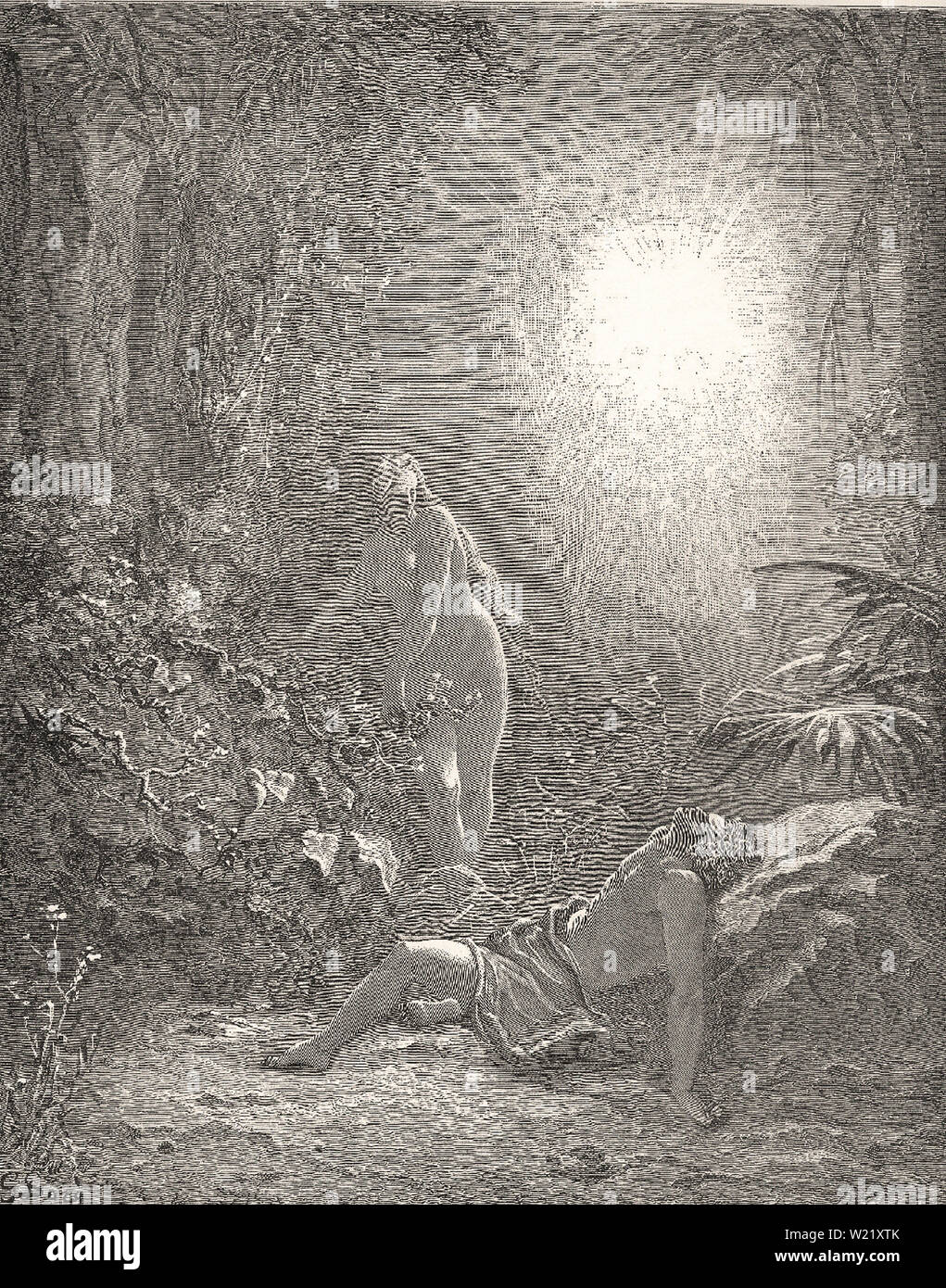 Gustave Doré - Creation Eve Stock Photo - Alamy