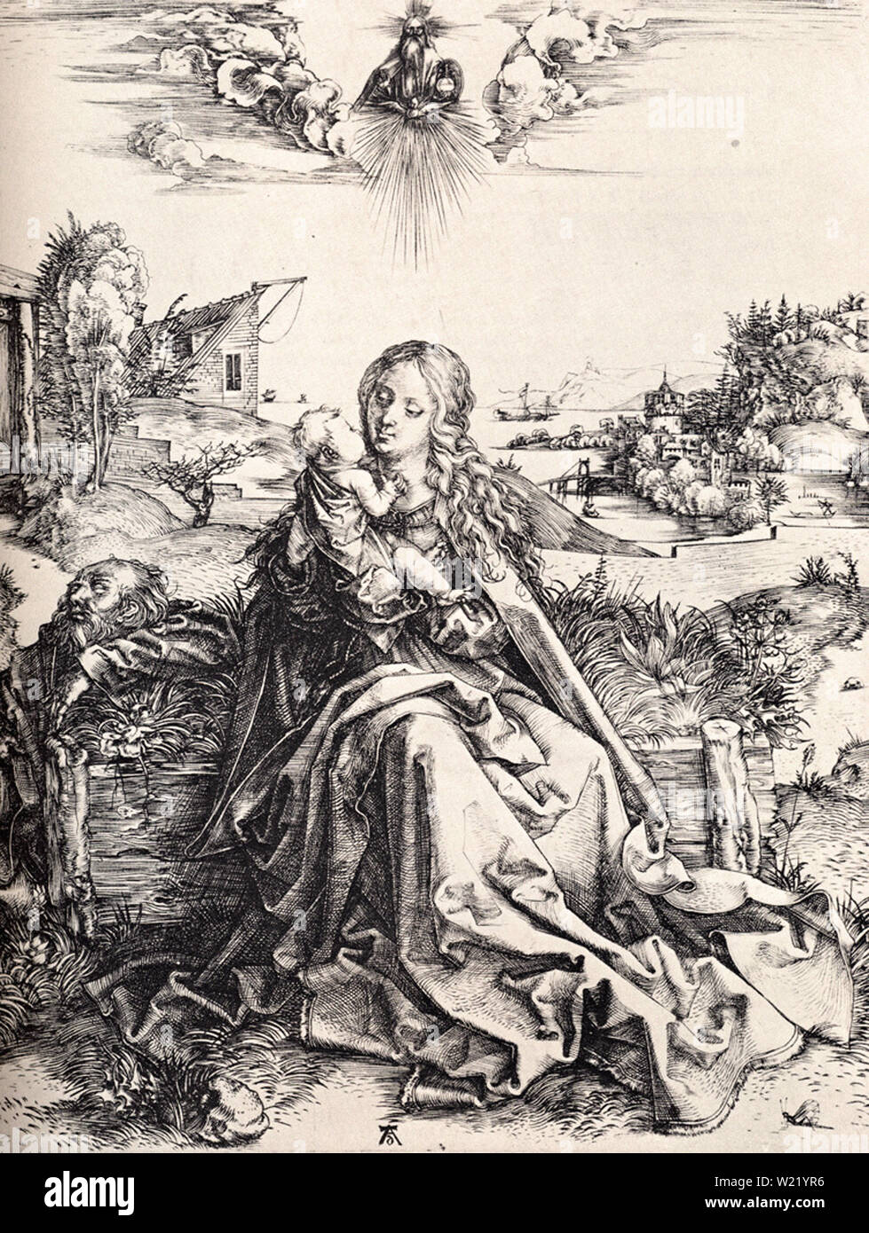 German dragonfly hi-res stock photography and images - Alamy