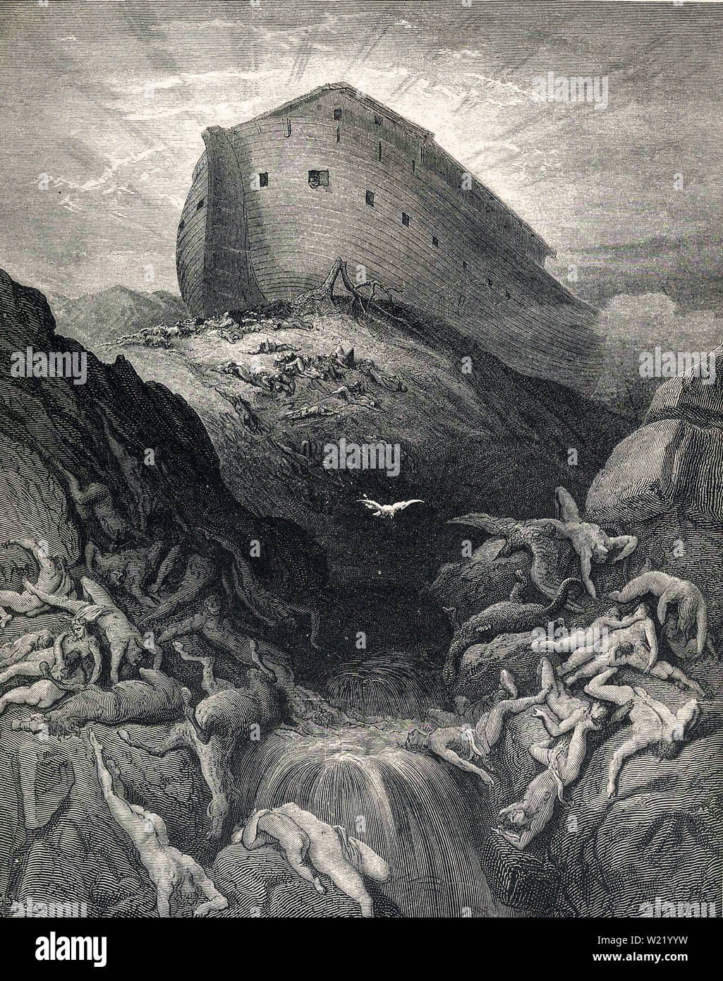Gustave Doré - Dove Sent Forth Ark 1866 Stock Photo - Alamy