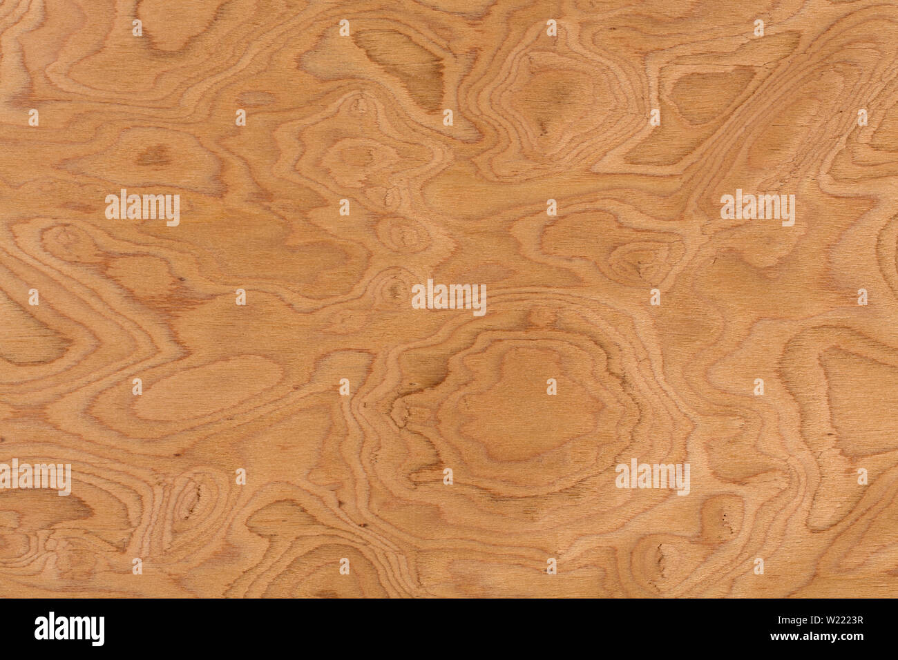 Burl wood hi-res stock photography and images - Alamy