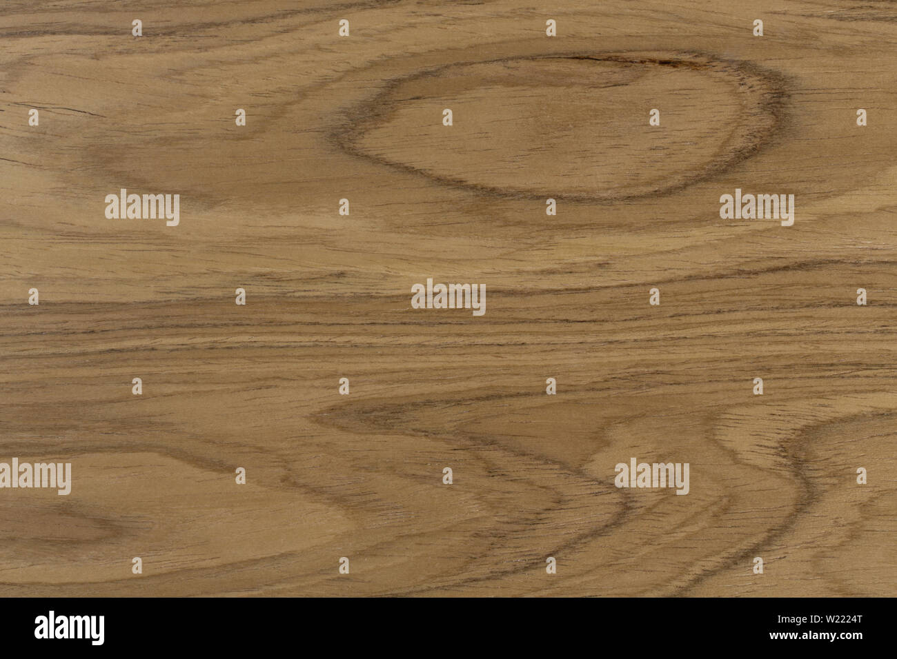 Noble natural walnut background texture on macro Stock Photo - Alamy