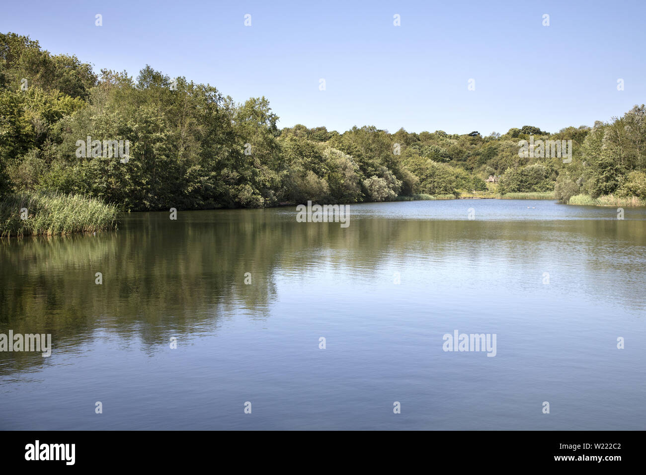 Southwater Sussex High Resolution Stock Photography and Images - Alamy