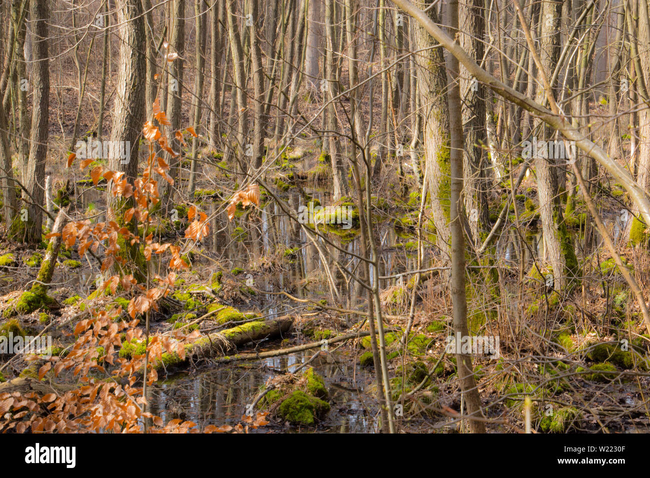 Buckow deutschland hi-res stock photography and images - Alamy