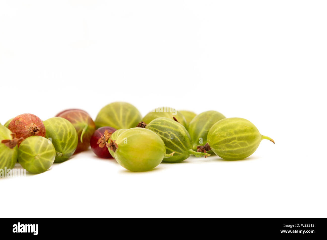 View top gooseberry plant in hi-res stock photography and images - Alamy