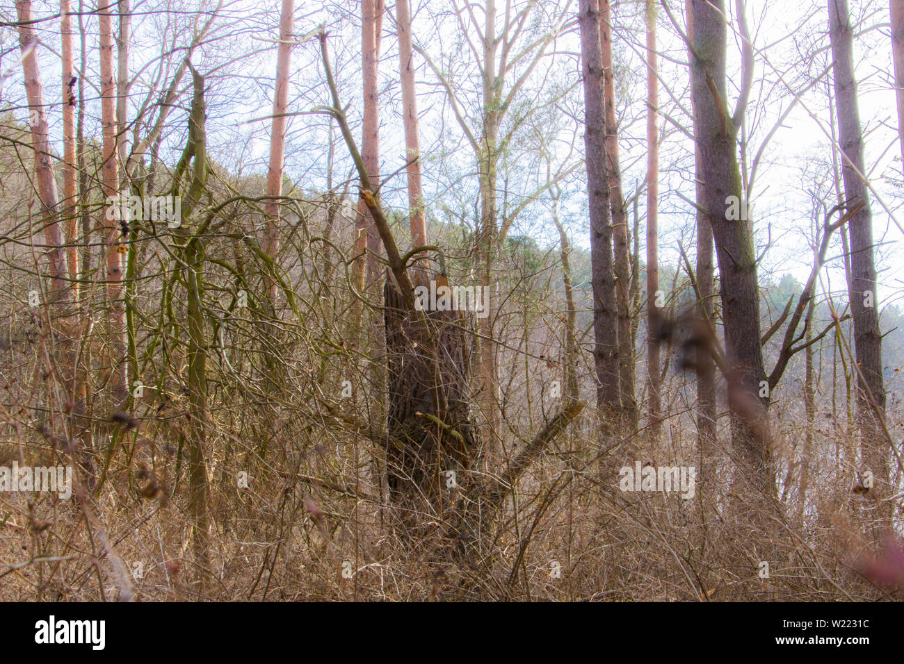 Buckow deutschland hi-res stock photography and images - Alamy