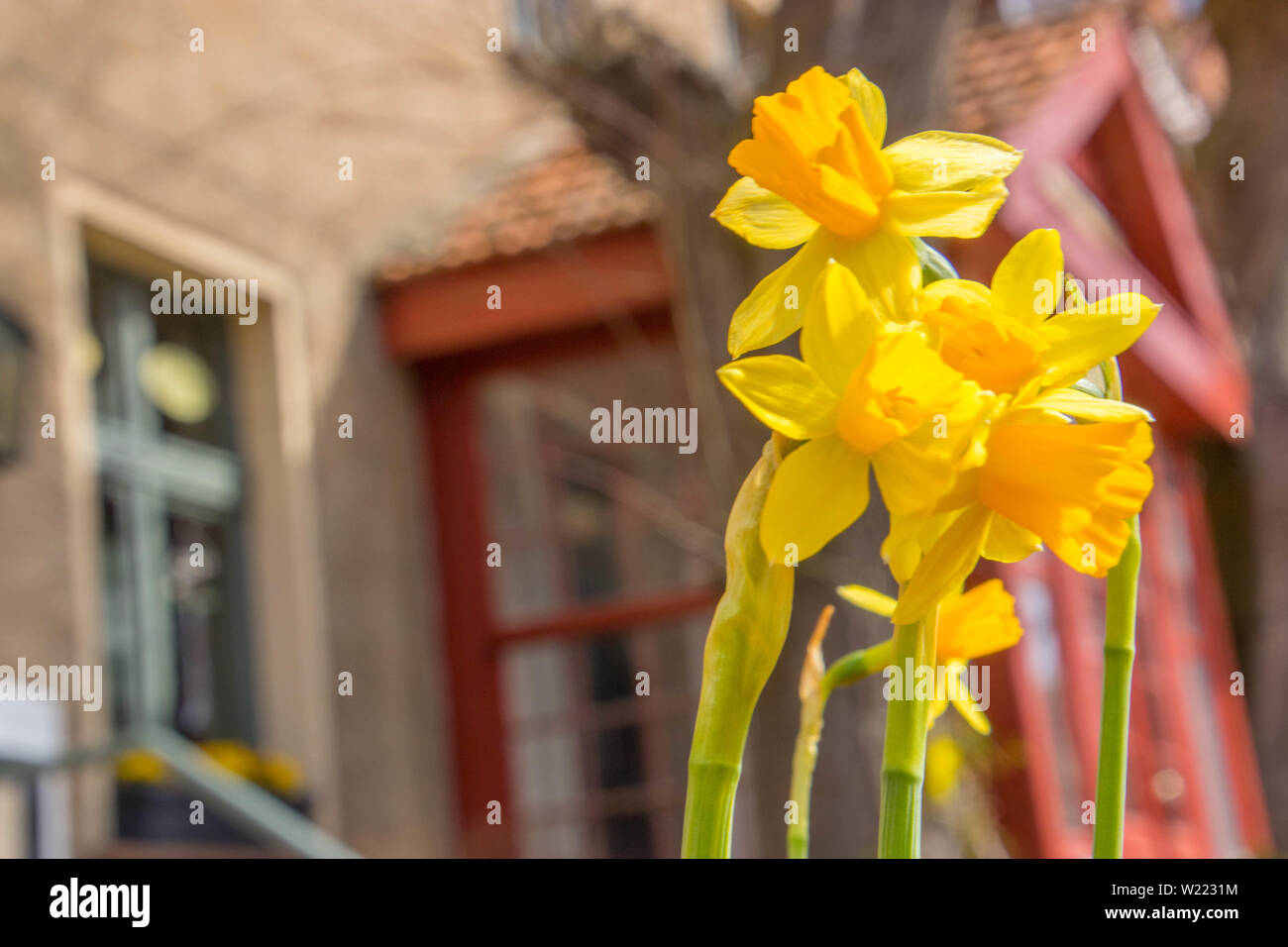 Buckow deutschland hi-res stock photography and images - Alamy