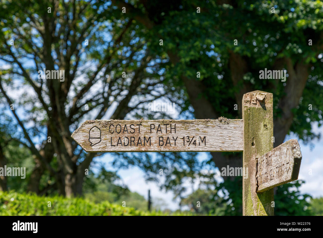 Traditional wooden fingerpost signpost on the South West Coast Path ...