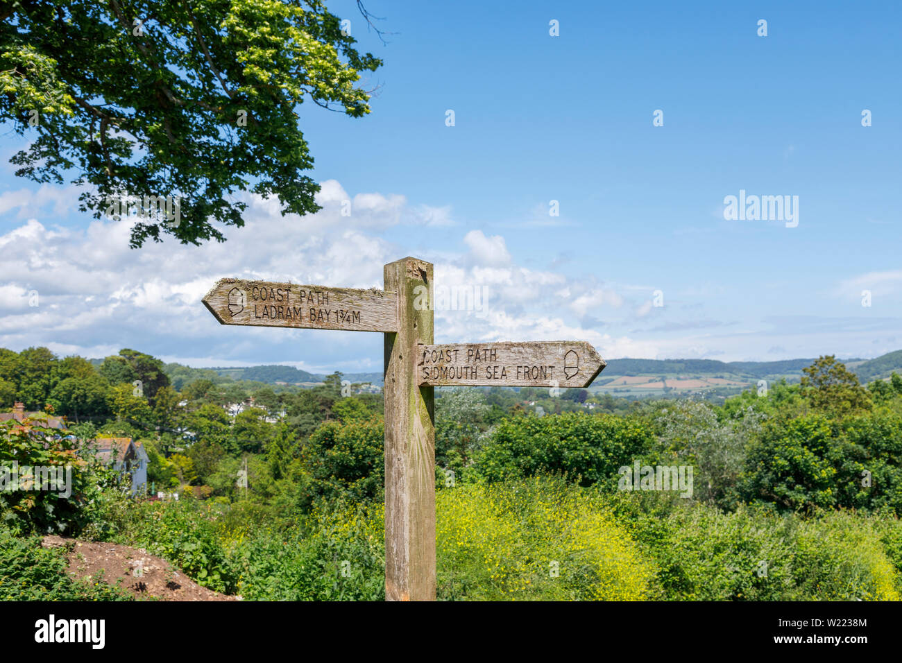 Traditional wooden fingerpost signpost on the South West Coast Path ...