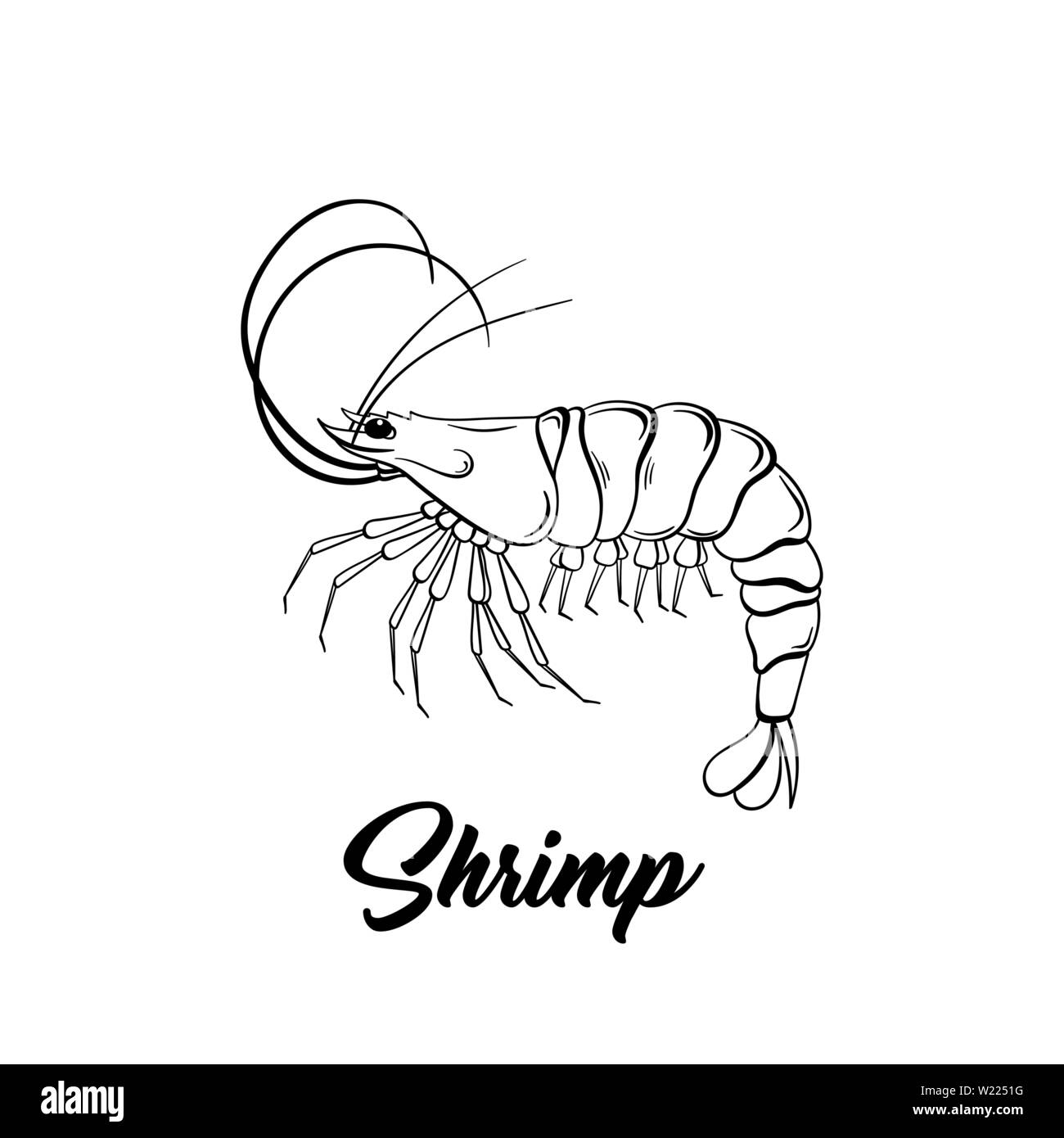 Black tiger prawns Stock Vector Images - Alamy