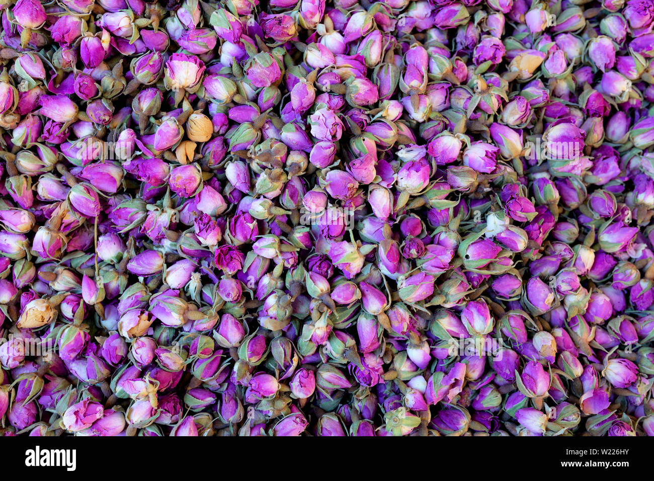 Dried pink roses tea, background Stock Photo - Alamy