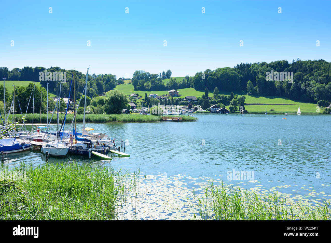 Obertrum am See: lake Obertrumer See, sailboats in Flachgau, Salzburg ...