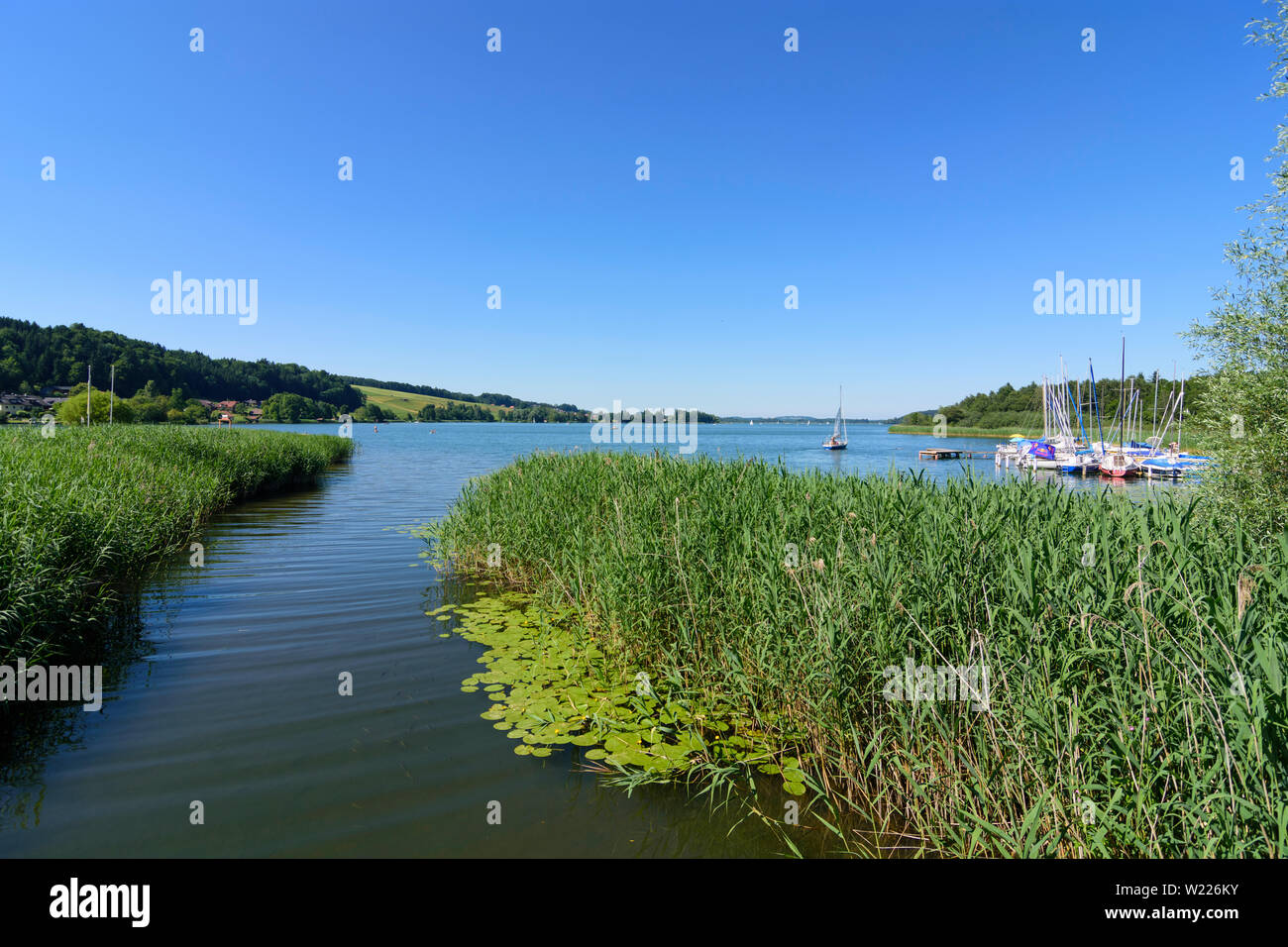Obertrum am See: lake Obertrumer See, sailboats in Flachgau, Salzburg ...