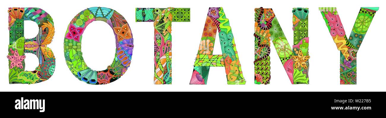 Hand-painted art design. Hand drawn illustration word Botany for t ...