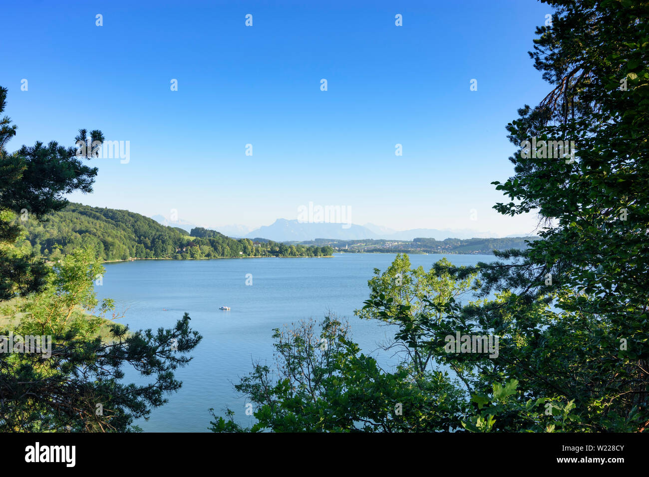 Obertrum am See: lake Obertrumer See, town Obertrum, Alps in Flachgau ...