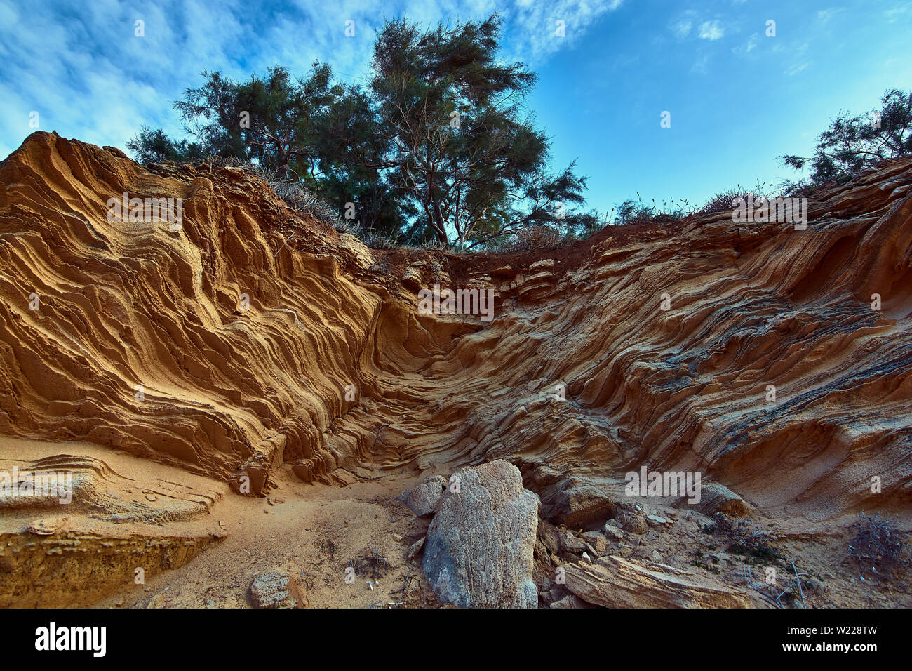 Forms of nature hi-res stock photography and images - Alamy