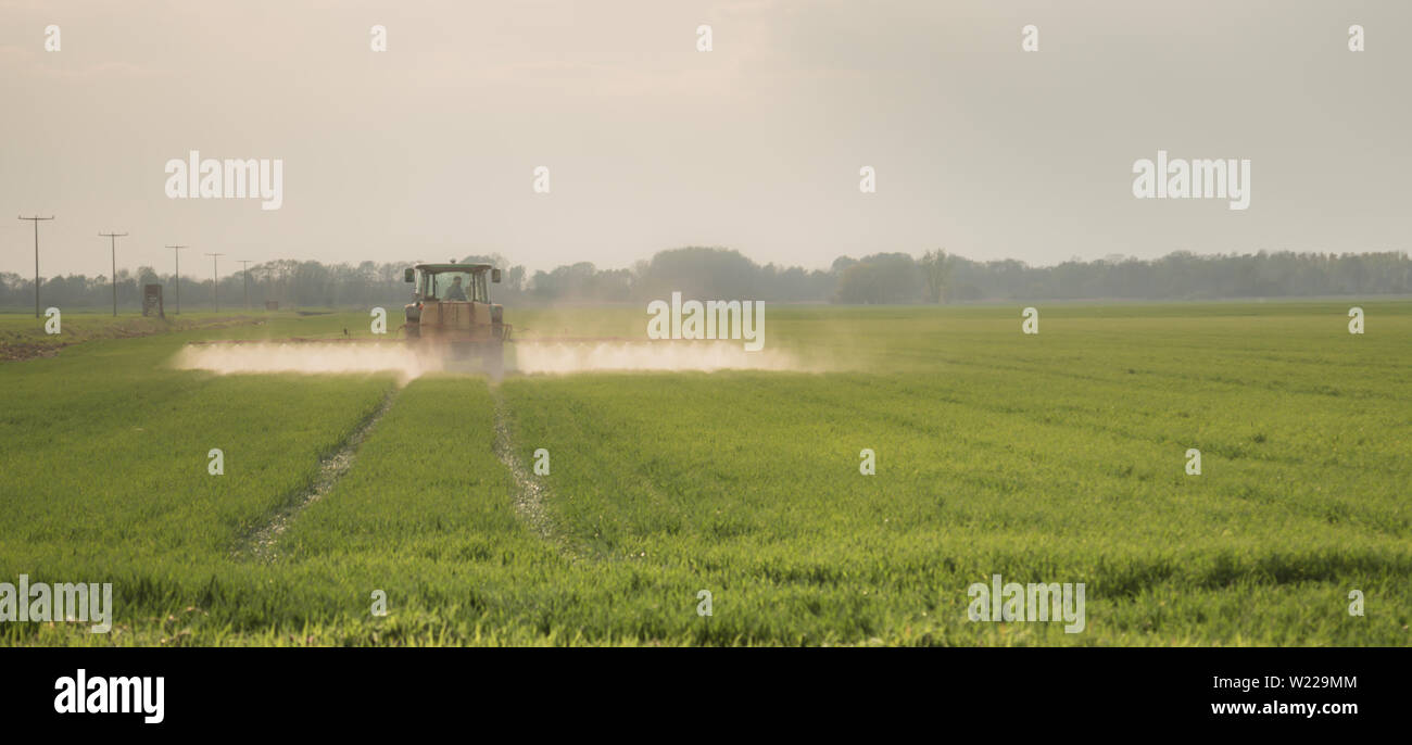 Tractor sprays field with pesticides in spring for better grain growth ...