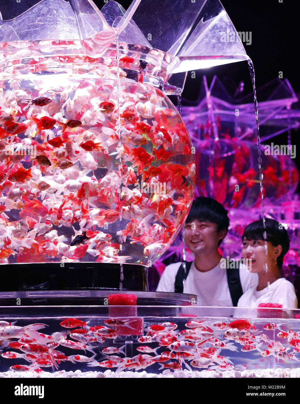 Tokyo, Japan. 5th July, 2019. Goldfish are on display in illuminated ...