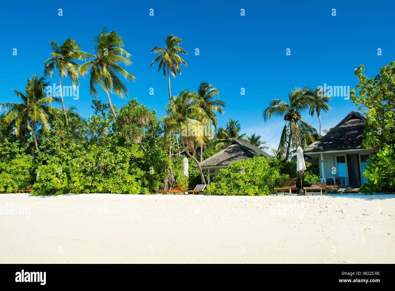 Beautiful panoramic landscape of tropical Maldives island with palms ...