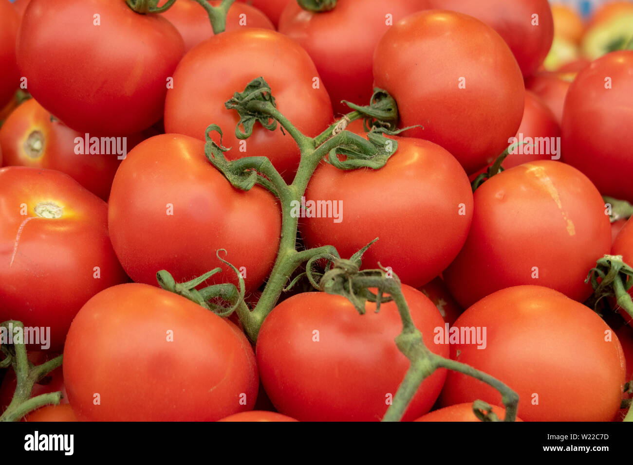 Top Sensational Things To Do In The HaTikva Market Stock Photo - Alamy