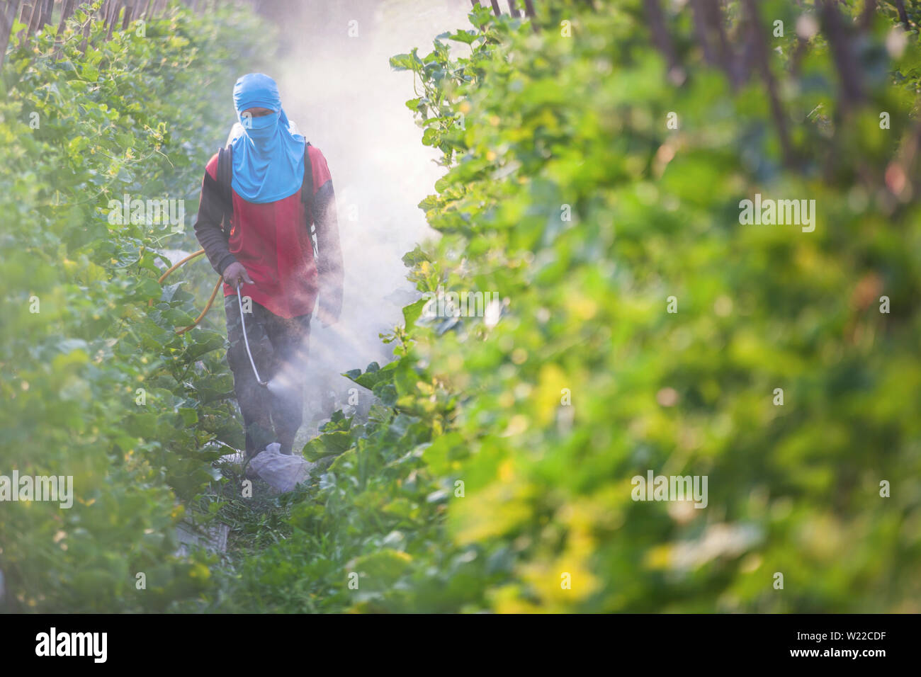 Pesticide insecticide poison spraying hi-res stock photography and ...