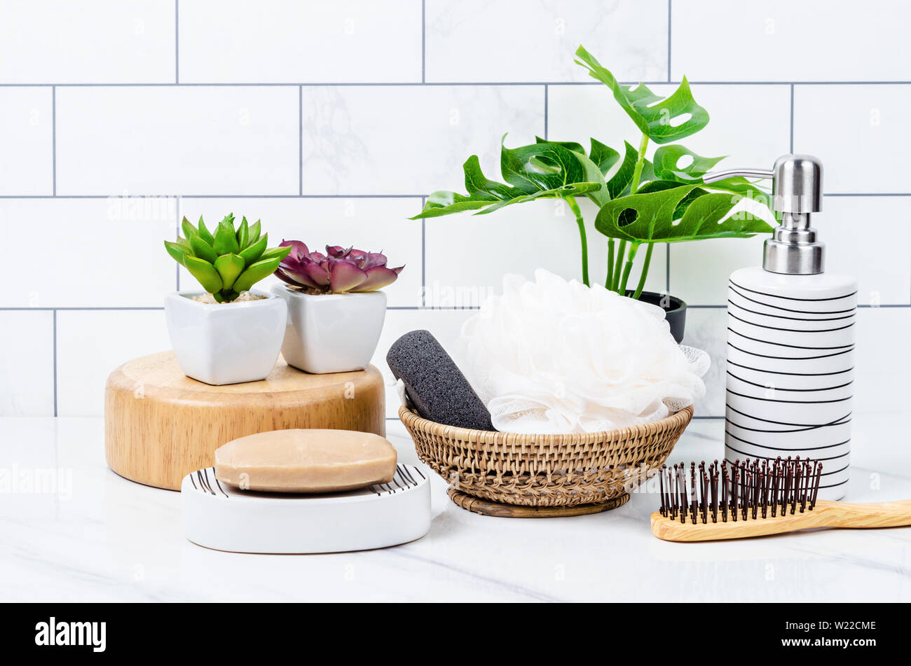 Herb soap, shower sponge and small green tree white inside a bright ...