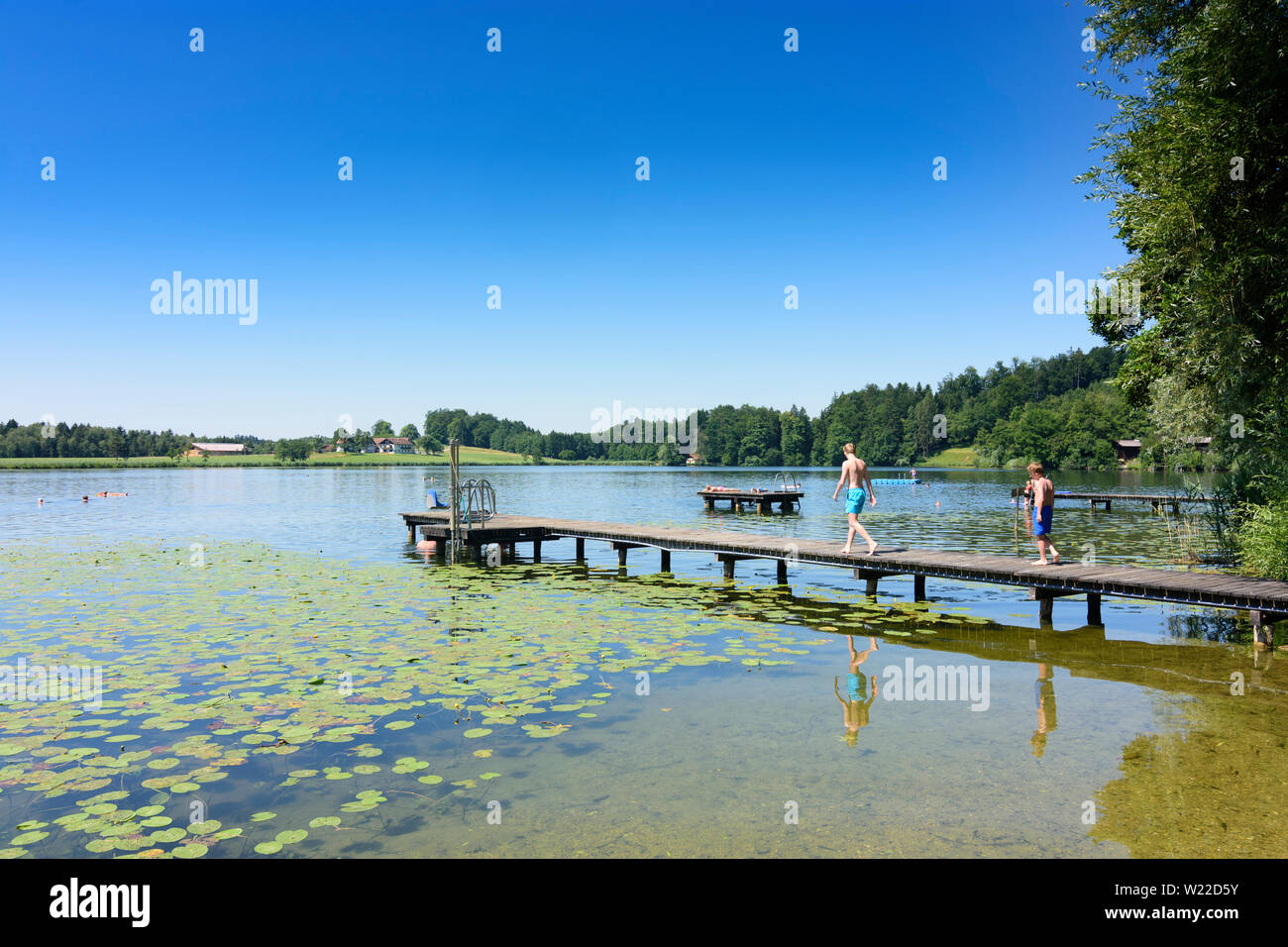Eggelsberg: lake Ibmer See or Heratinger See, lido, bather in ...