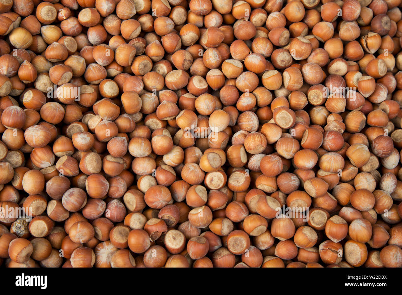 Stack of hazelnuts. Hazelnut background Stock Photo - Alamy