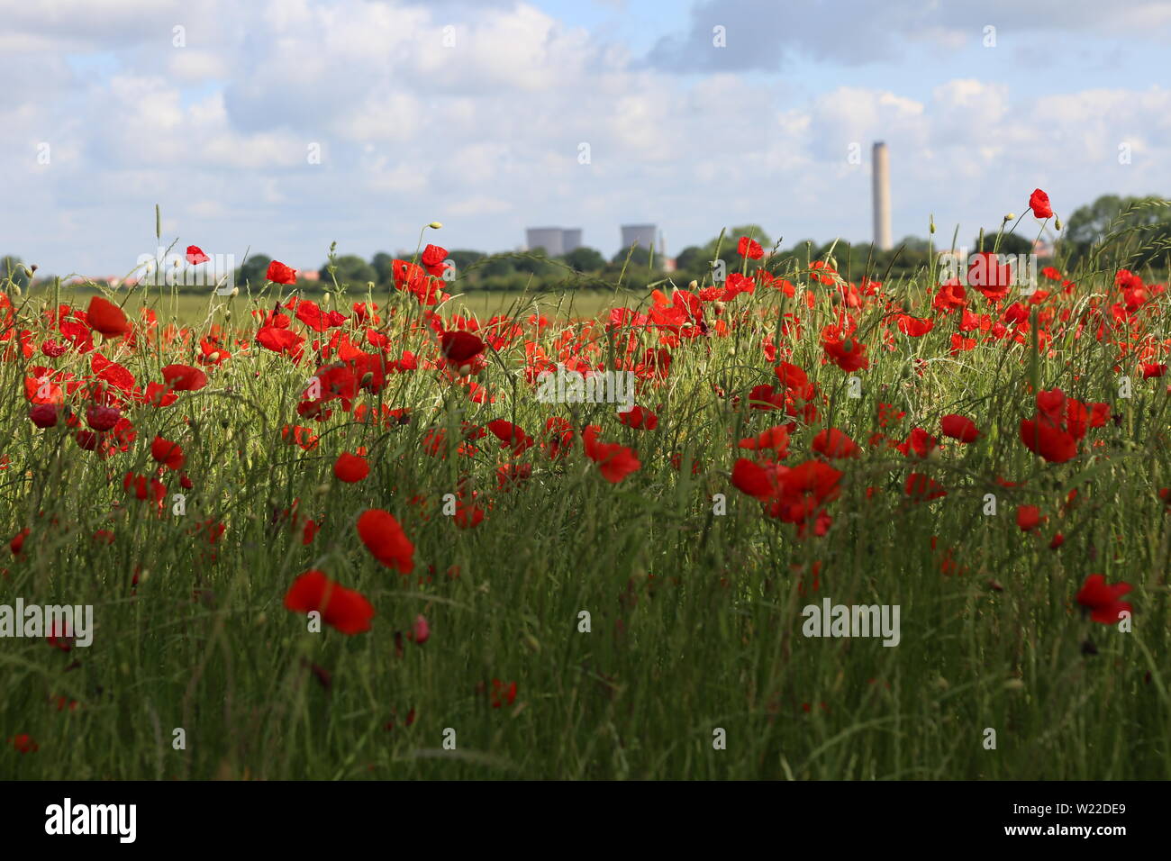 Cooling towers over poppy field hi-res stock photography and images - Alamy