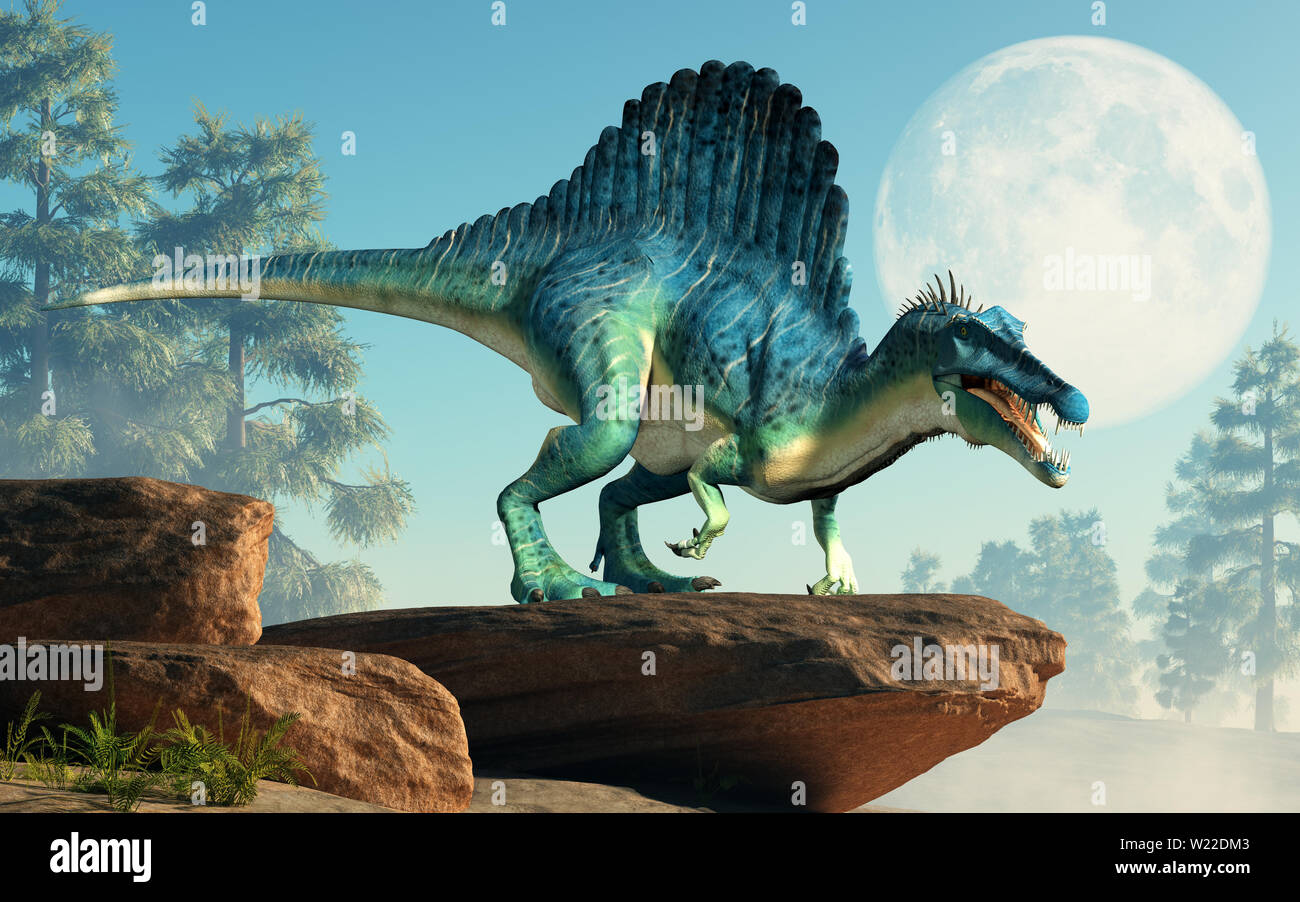 A spinosaurus on a cliff by the moon. Spinosaurus was semi-aquatic dinosaur from the Cretaceous ...