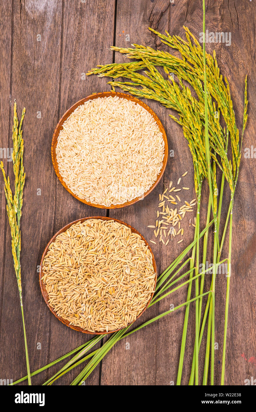 paddy and brown rice on the wooden plate and rice plant Stock Photo - Alamy