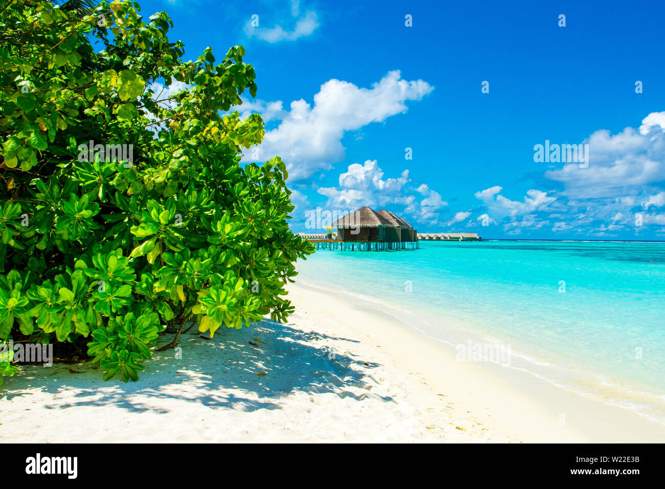 The beautiful landscape of the deserted Indian Ocean sandy beach ...