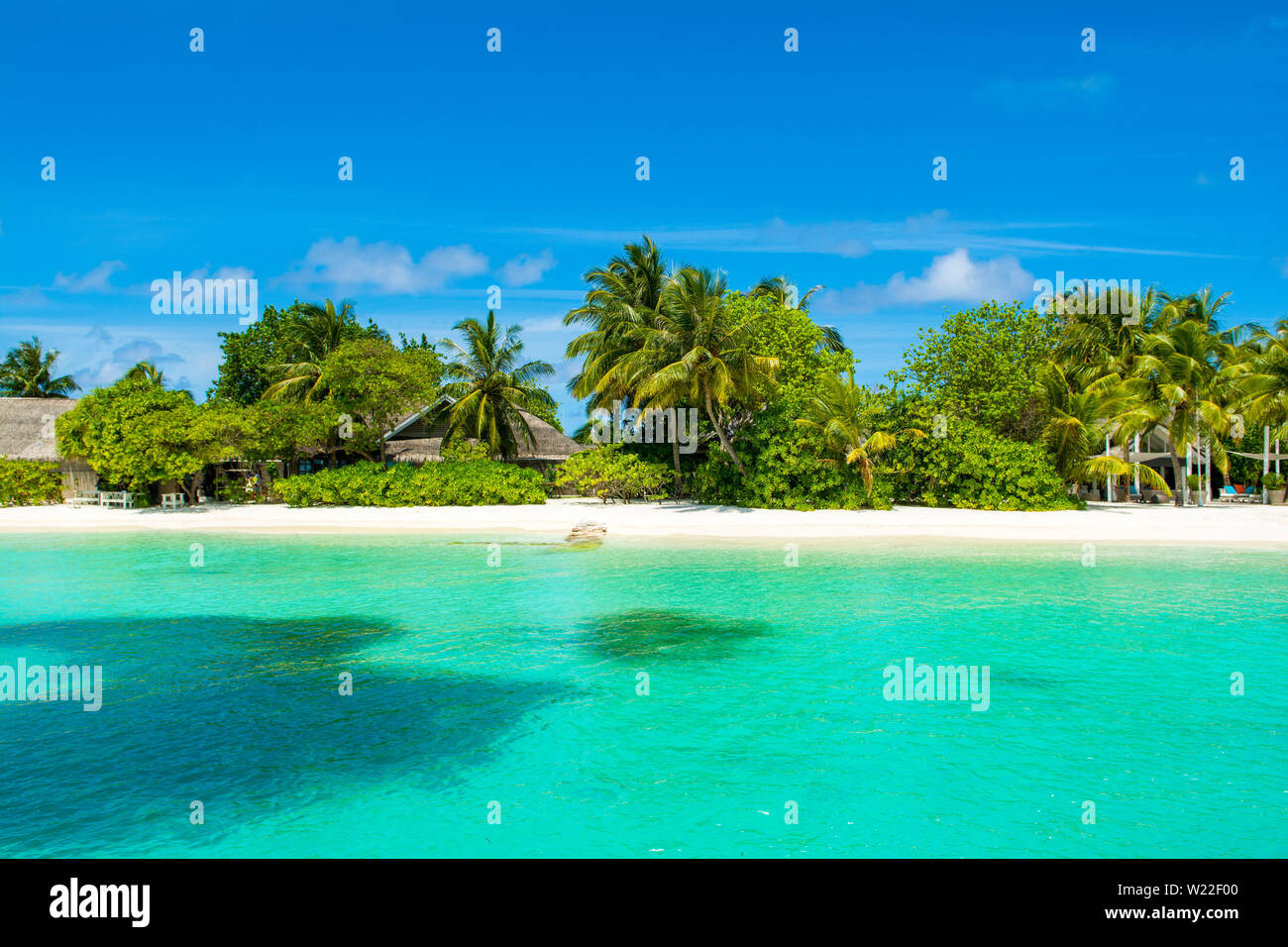 The beautiful landscape of the deserted Indian Ocean sandy beach ...