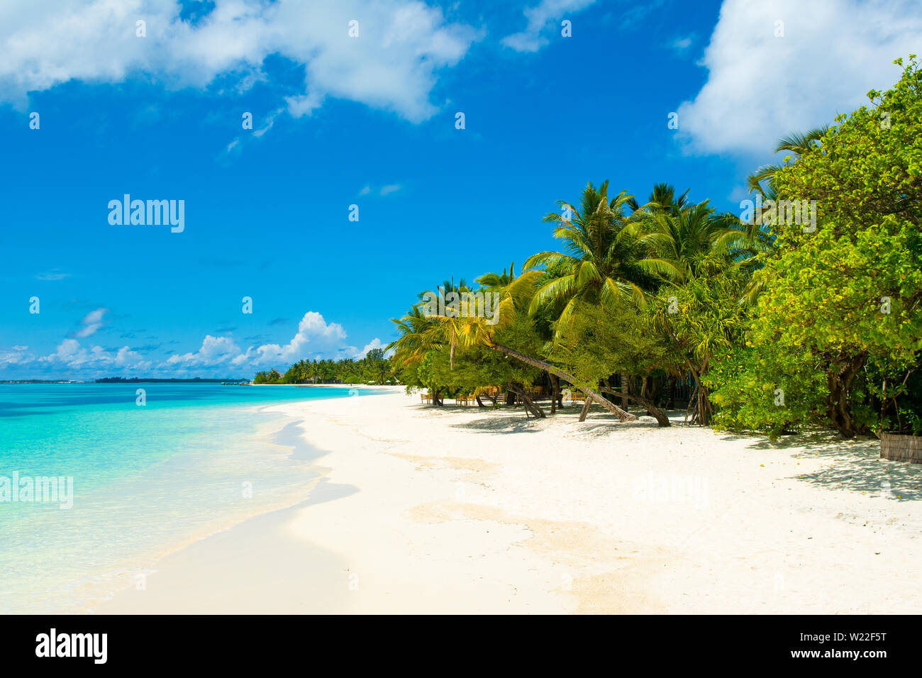 Beautiful panoramic landscape of tropical Maldives island with palms ...