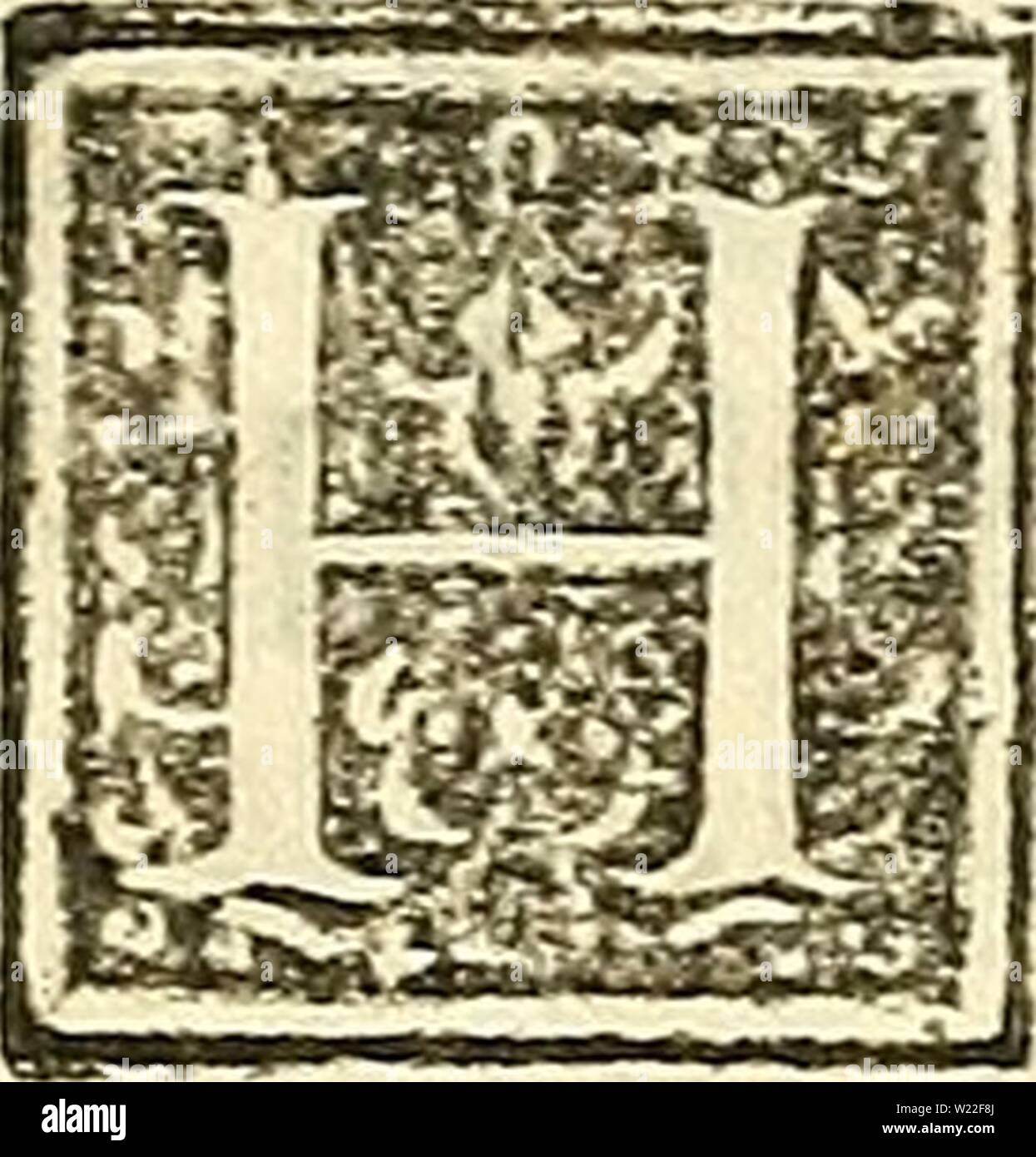 De plantis hi-res stock photography and images - Alamy