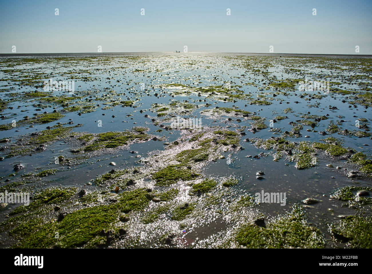 Ebbe hi-res stock photography and images - Alamy