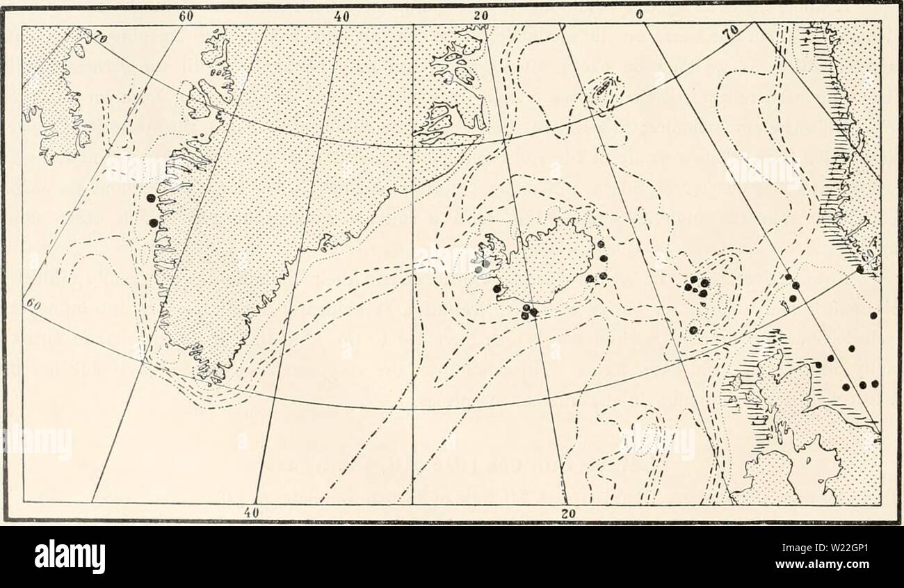 Gonangia hi-res stock photography and images - Alamy