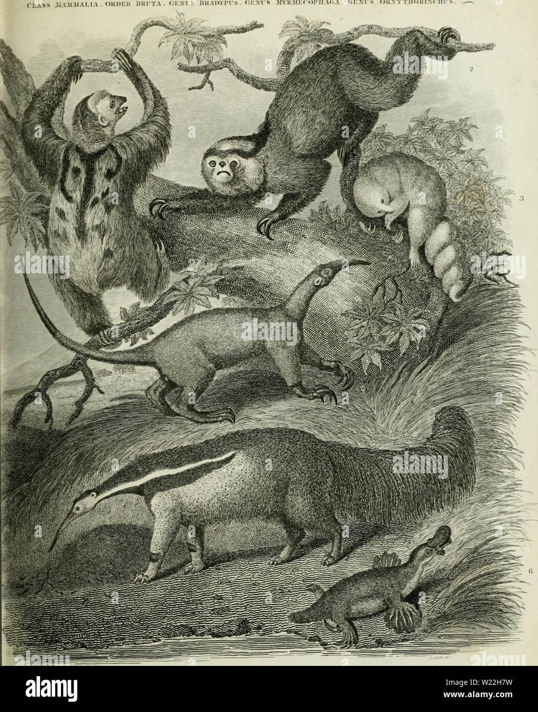 Lna image hi-res stock photography and images - Alamy